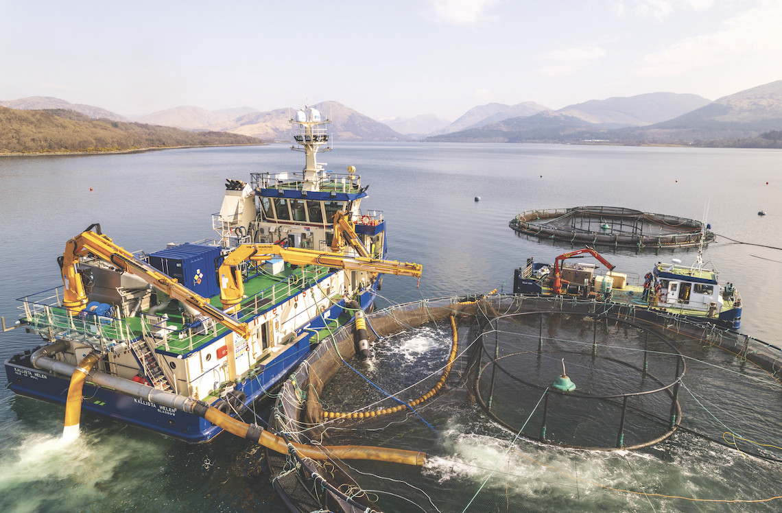 Seafood Media Group - Worldnews - Ocean Kinetics to demonstrate installation of innovative ...